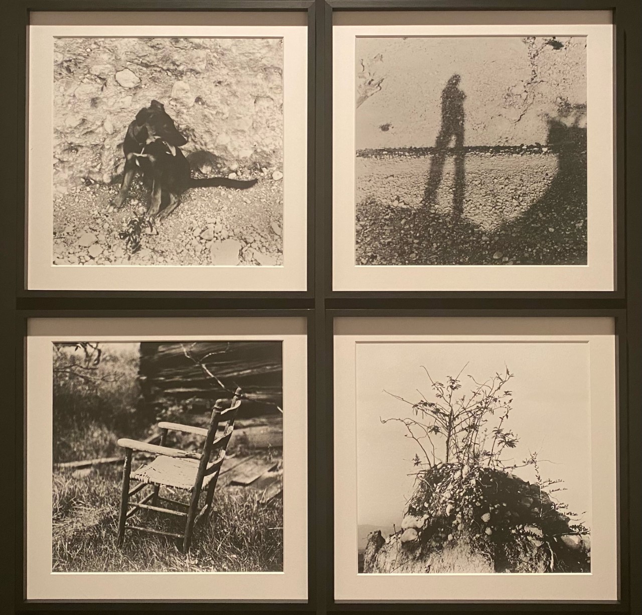 ‘L’avventura dell’arte nuova’: a Lucca un viaggio fotografico tra Cioni ...