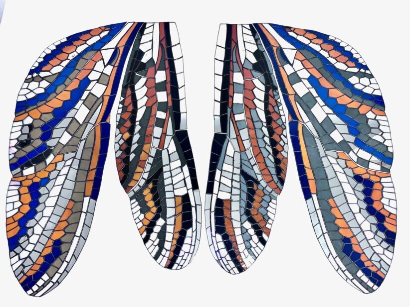 Natura, vetro e ironia. Intervista a Jennifer Hackett - ArtsLife