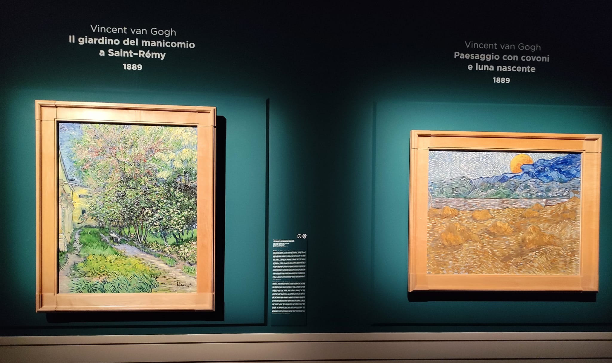 Van Gogh, le immagini in anteprima e tutto quello che c'è da sapere ...